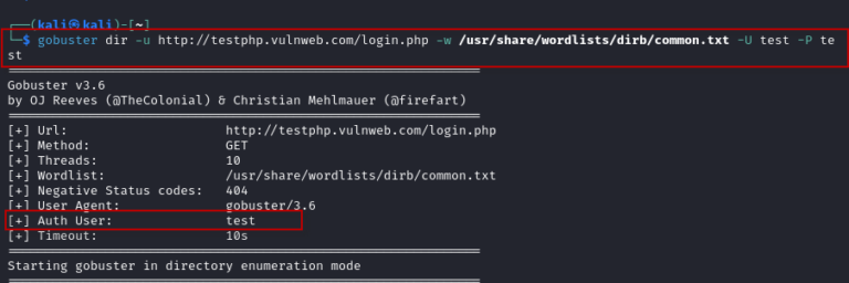 Gobuster Tool in Kali Linux: A Comprehensive Guide - TechArry