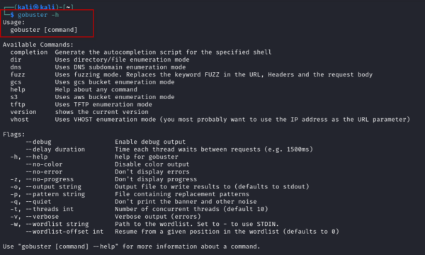 Gobuster Tool in Kali Linux: A Comprehensive Guide - TechArry