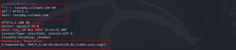 Banner Grabbing Tools for Penetration Testing - TechArry