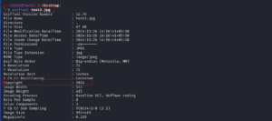 Using ExifTool in Kali Linux for Metadata Extraction - TechArry