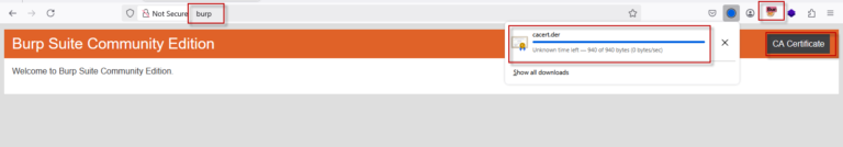 How to Configure Burp Proxy and Browser for Security Testing - TechArry