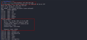 Top Nmap NSE Scripts for Kali Linux - TechArry